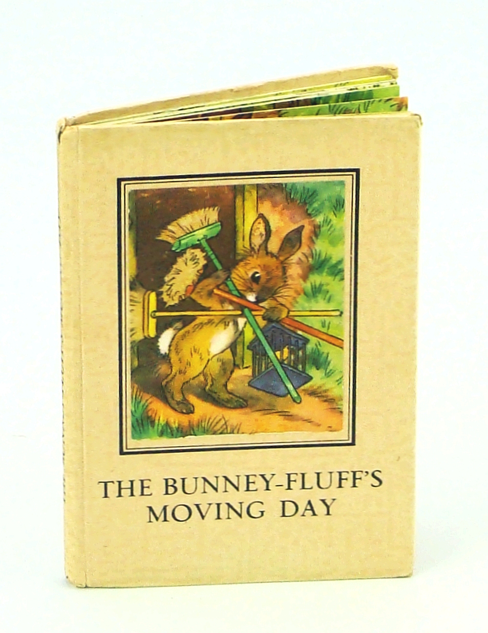The Bunney-Fluff's Moving Day: A Story in Verse for Children with ...