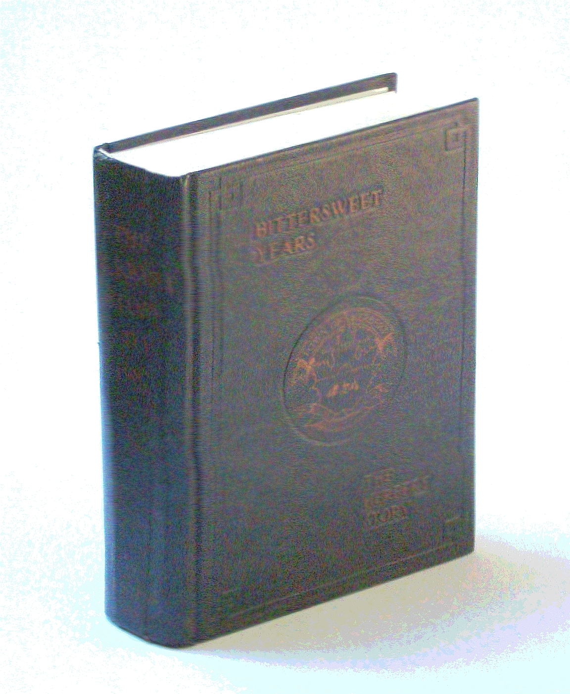 Bittersweet Years - The Herbert [Saskatchewan] Story